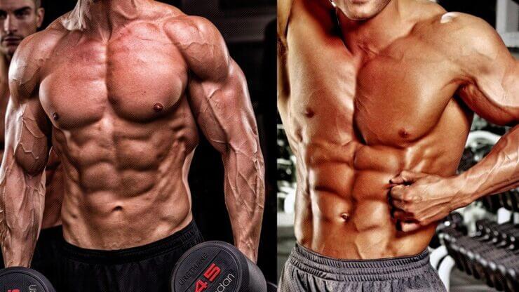 Testosterone And Muscle Growth: A Comprehensive Guide