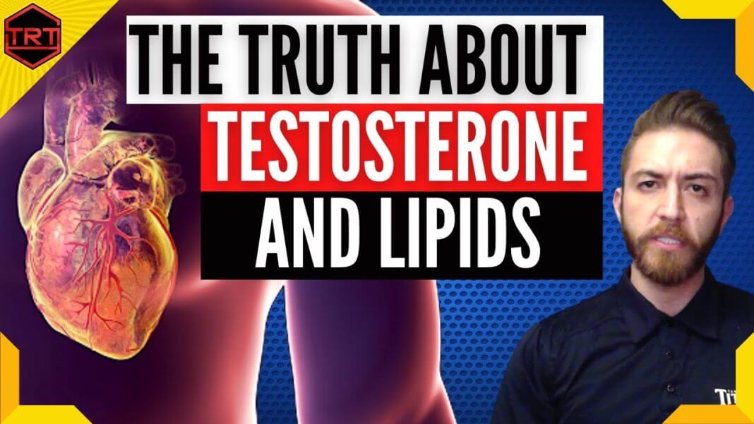 Is Testosterone A Lipid? Hormone Structure Explained