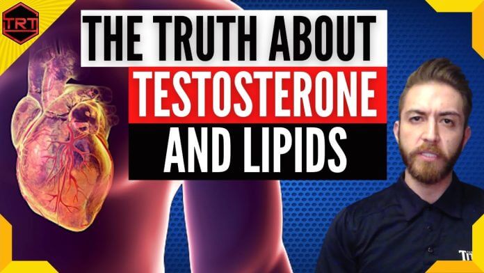 Is Testosterone A Lipid? Hormone Structure Explained