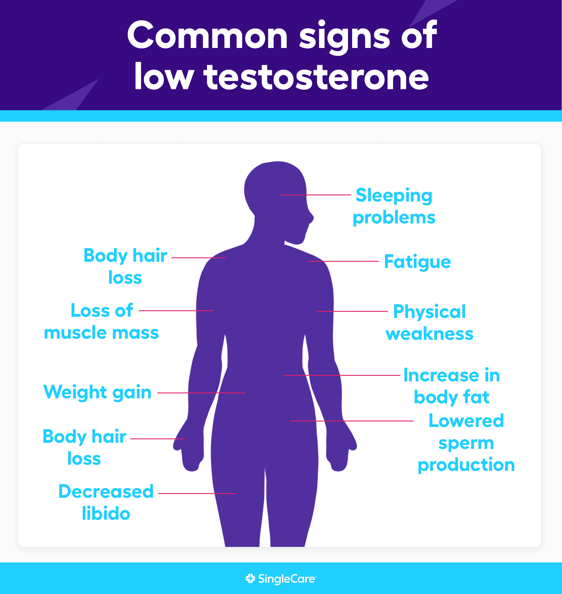 Testosterone And Belly Fat: What You Need To Know